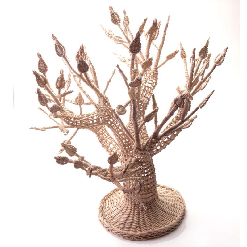 Cestería en Voqui Pil Pil – Chile a Mano